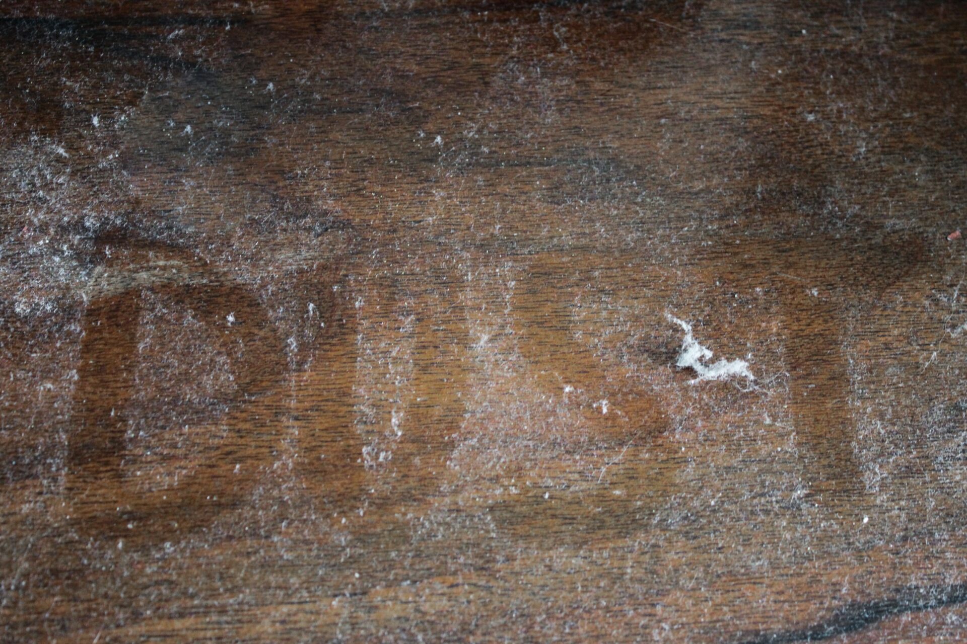 How Dust Affects Our Health - Cubix